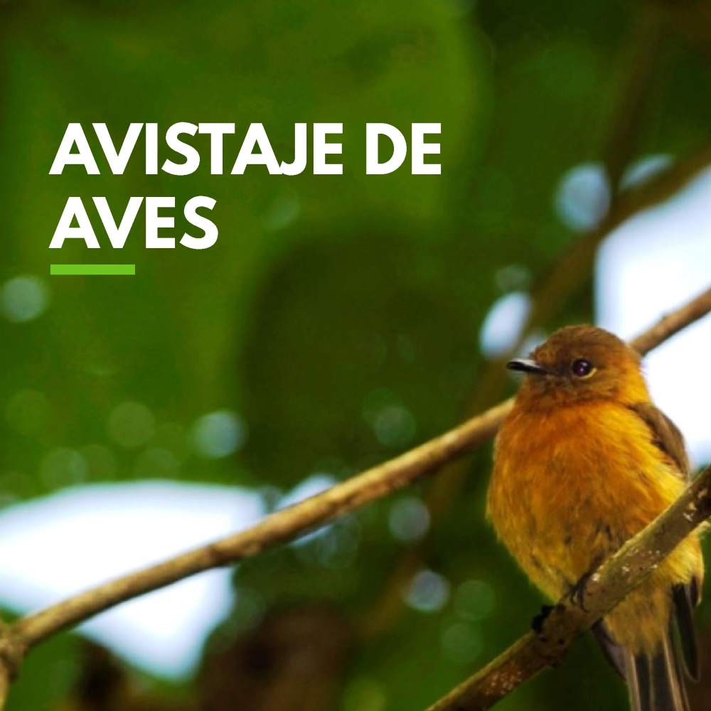 La Ruta del Duende – Vive una aventura mágica en un lugar mágico